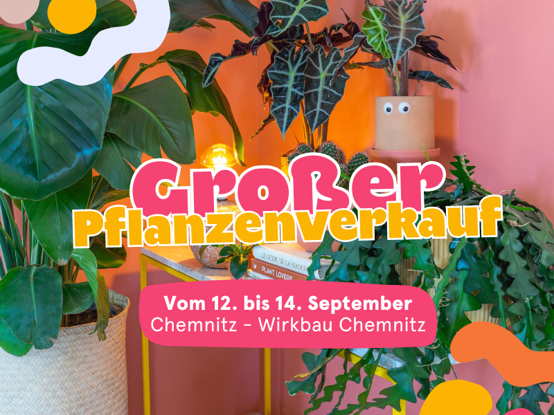 Chemnitz Shoppt Auf Ihr Ultimativer Guide Zum Verkaufsoffenen Sonntagfeed